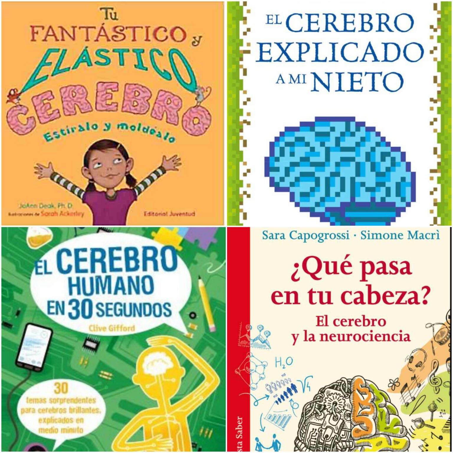Cerebro para niños: guía simple y divertida - Tus Apuntes Bonitos